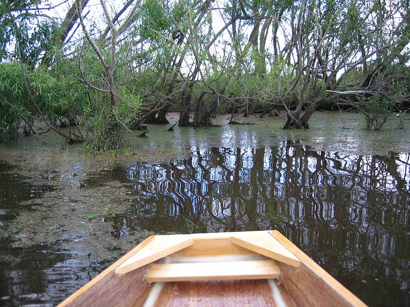 Messing About in Boats